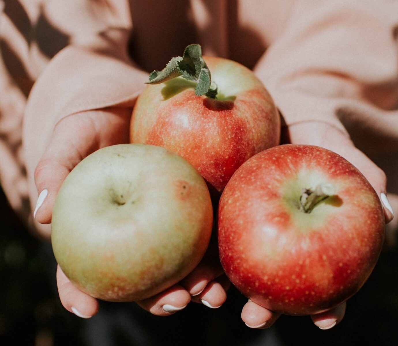 Pecynnau Perllan - Keep Wales Tidy